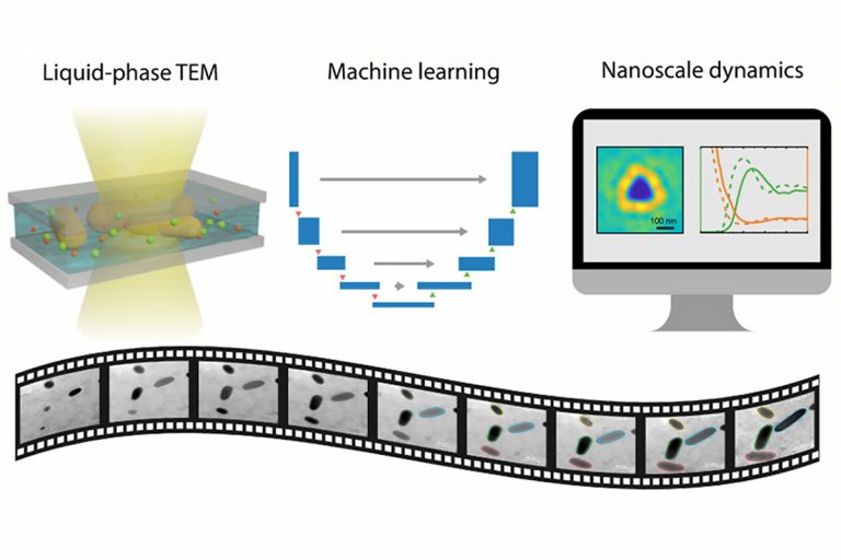 Putting nanoscale interactions under the microscope - ΑΙhub