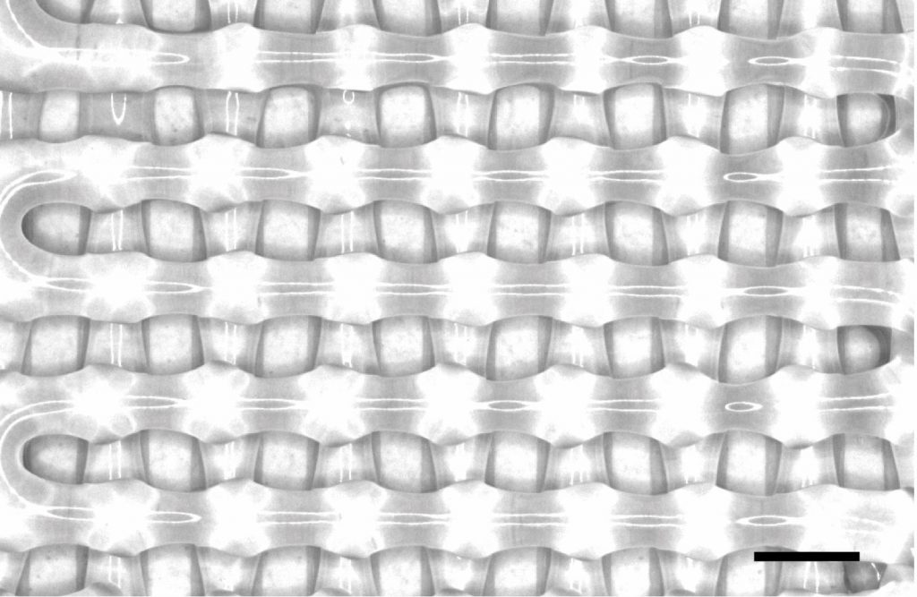 Using machine learning to speed bioscaffold development - ΑΙhub