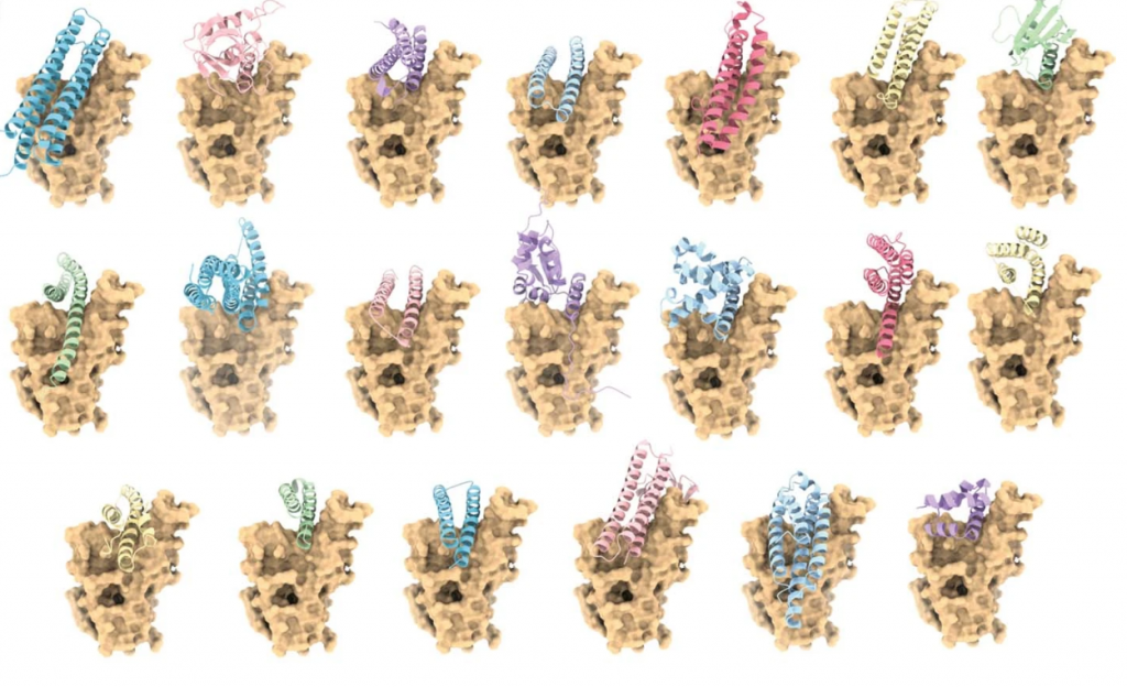 Engineering molecular interactions with machine learning - ΑΙhub