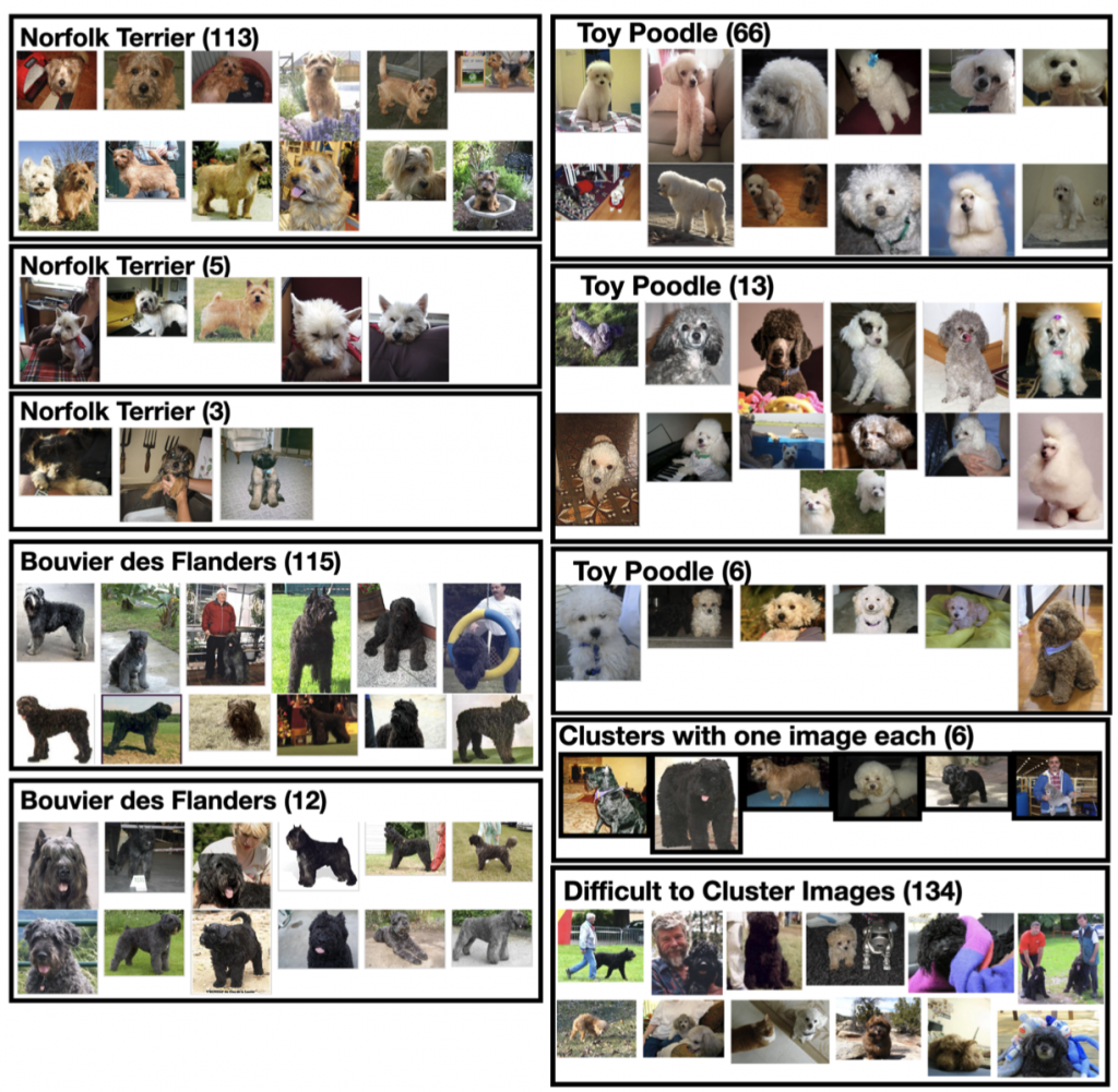 Crowdsourced clustering via active querying - ΑΙhub