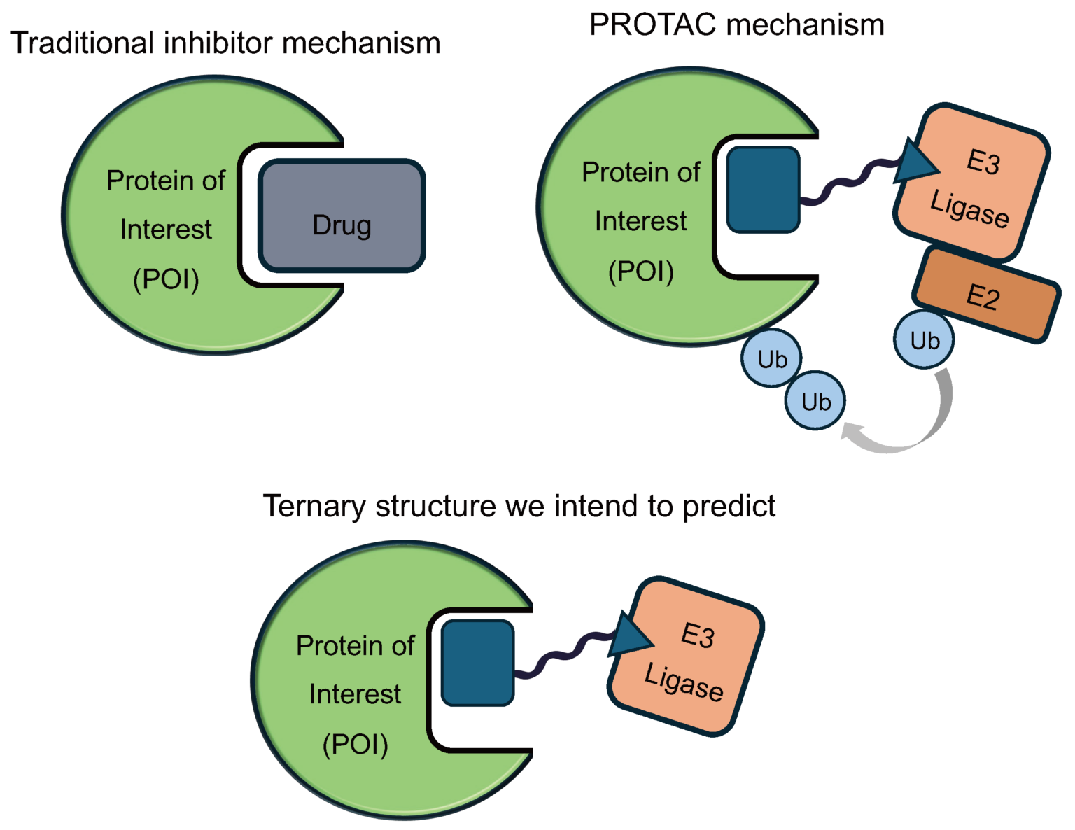 An iterative refinement model for PROTAC-induced structure prediction ...