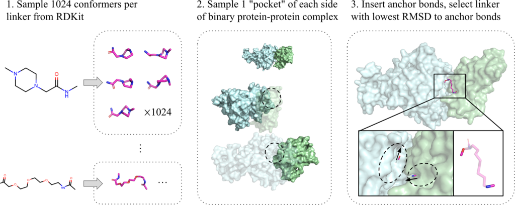 An iterative refinement model for PROTAC-induced structure prediction - ΑΙhub