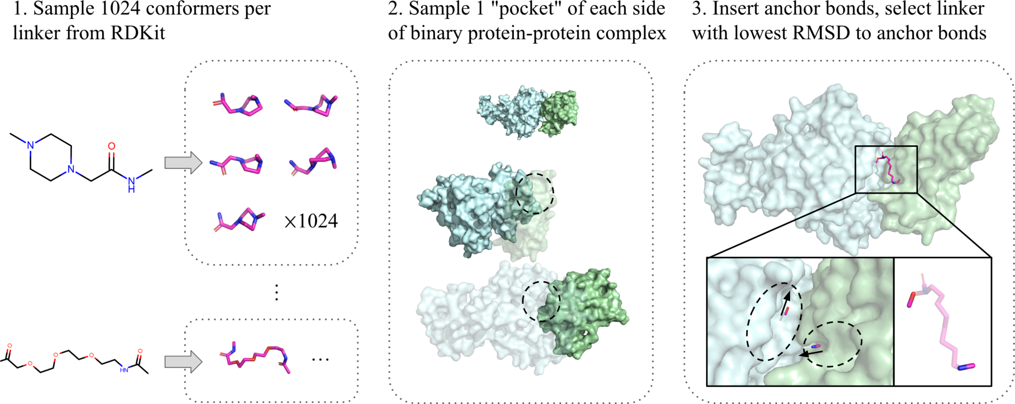 An iterative refinement model for PROTAC-induced structure prediction - ΑΙhub