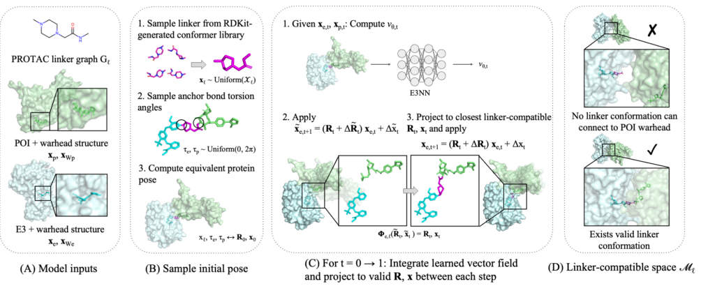 An iterative refinement model for PROTAC-induced structure prediction - ΑΙhub