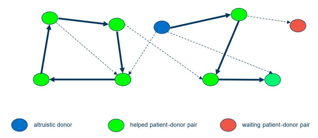 The Kidney Exchange Problem: Interview with Úrsula Hébert-Johnson ...